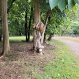 Virginius Island Trail, West Virginia - 203 Reviews, Map | AllTrails