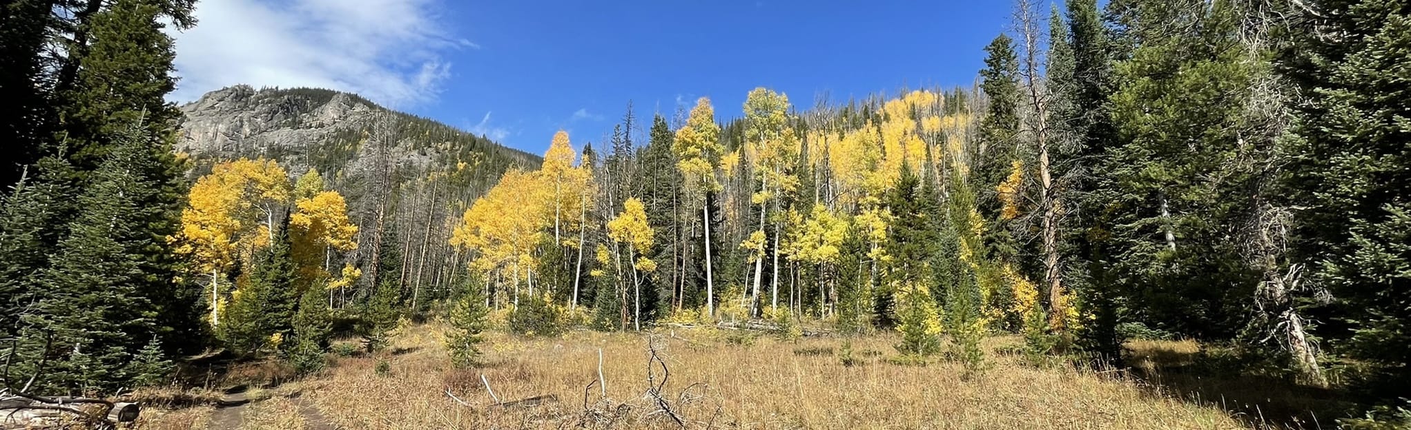 AllTrails | Willow Creek Falls via Gore Range and Mesa Cortina Trail ...