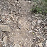 Maculata and Bardon Track, Queensland, Australia - 140 Reviews, Map ...