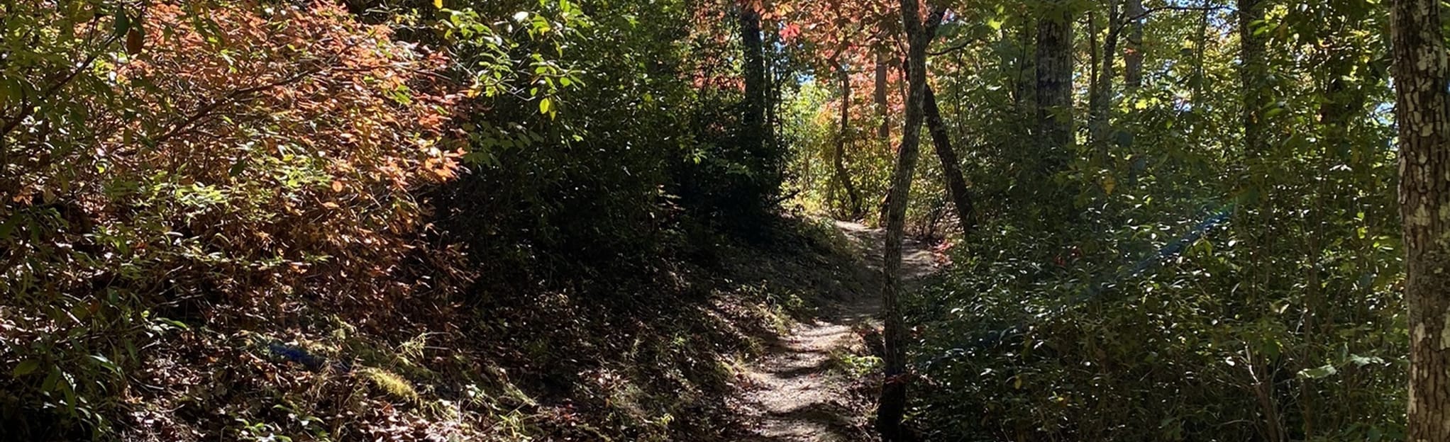 Lakeshore and Tunnel Bypass Trail Loop - North Carolina | AllTrails