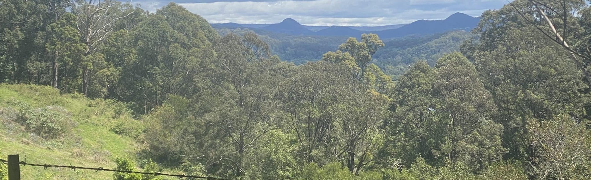 The Border Trail, Queensland, Australia - 70 Reviews, Map | AllTrails