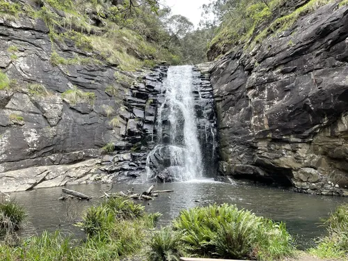 10 Best Trails and Hikes in Lorne | AllTrails