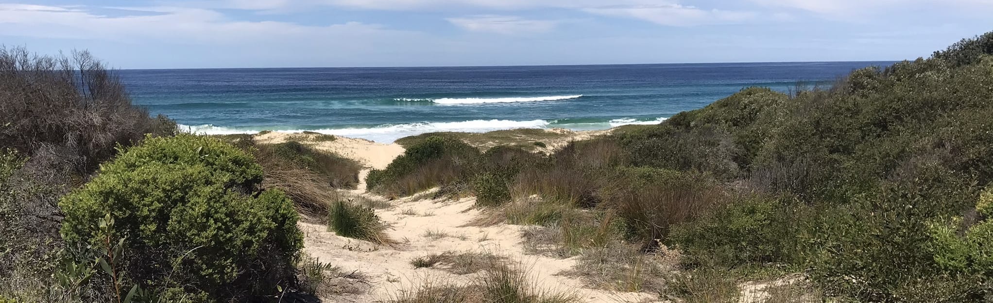 Mungo Beach Loop: 3 Reviews, Map - New South Wales, Australia | AllTrails