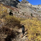 Lamoille Lake Trail, Nevada - 273 Reviews, Map | AllTrails