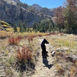 Lamoille Lake Trail, Nevada - 273 Reviews, Map | AllTrails