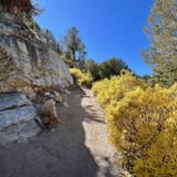 Lamoille Lake Trail, Nevada - 273 Reviews, Map | AllTrails