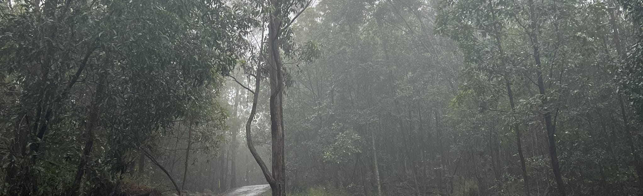 Keperra Saddle: 106 Reviews, Map - Queensland, Australia | AllTrails