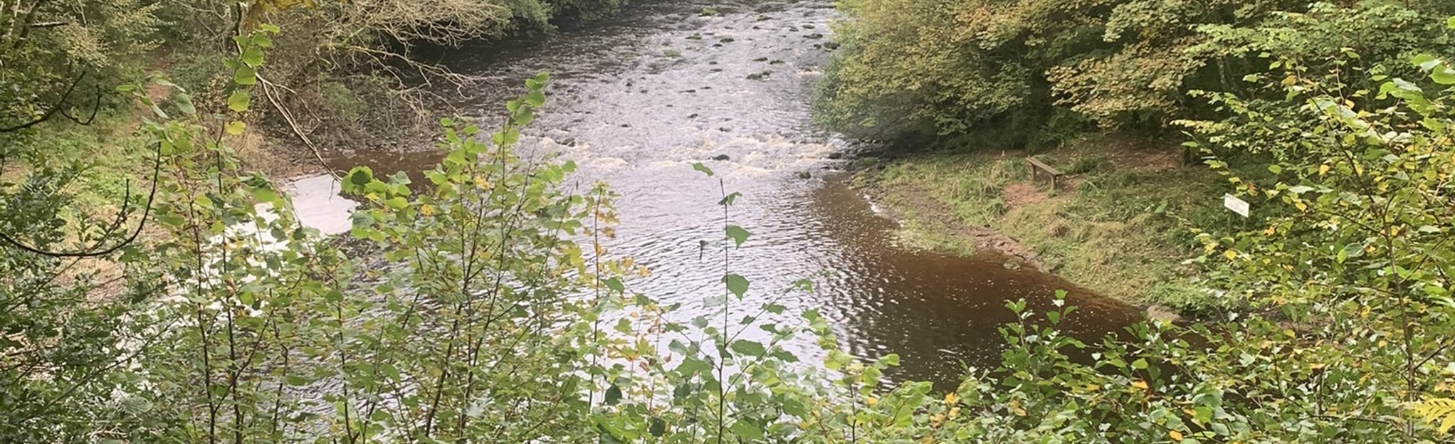 River Lyne - Hidden River | Map, Guide - Cumbria, England | AllTrails