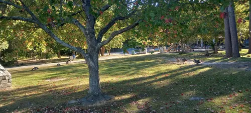 Best Hikes and Trails in Briscoe Park | AllTrails