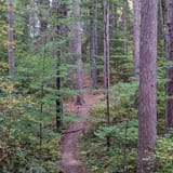 Lost '40' Trail, Minnesota - 168 Reviews, Map | AllTrails