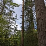 Lost '40' Trail, Minnesota - 168 Reviews, Map | AllTrails