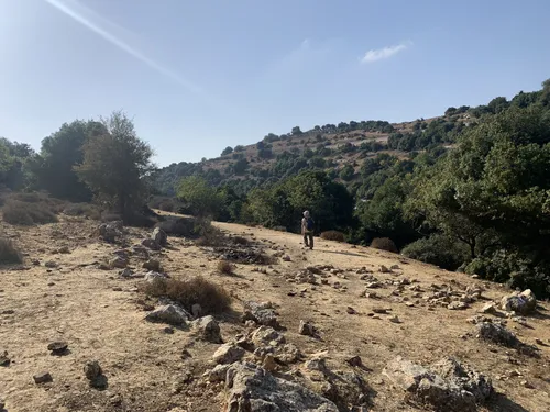 2023 Best 10 Moderate Trails in Har Meron Nature Reserve | AllTrails