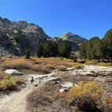Lamoille Lake Trail, Nevada - 285 Reviews, Map | AllTrails