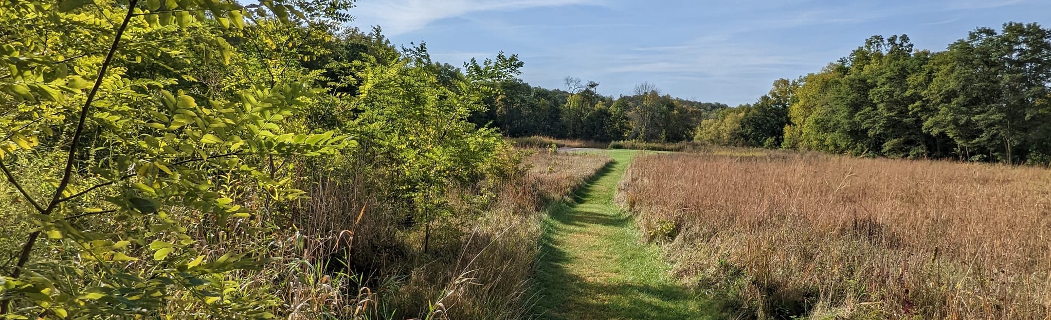 Oak Woods, Prairie, and Hog's Back Loop, Iowa - 61 Reviews, Map | AllTrails