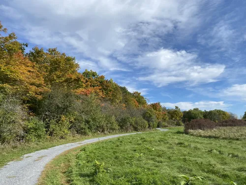 10 Best Trails and Hikes in Kingston | AllTrails