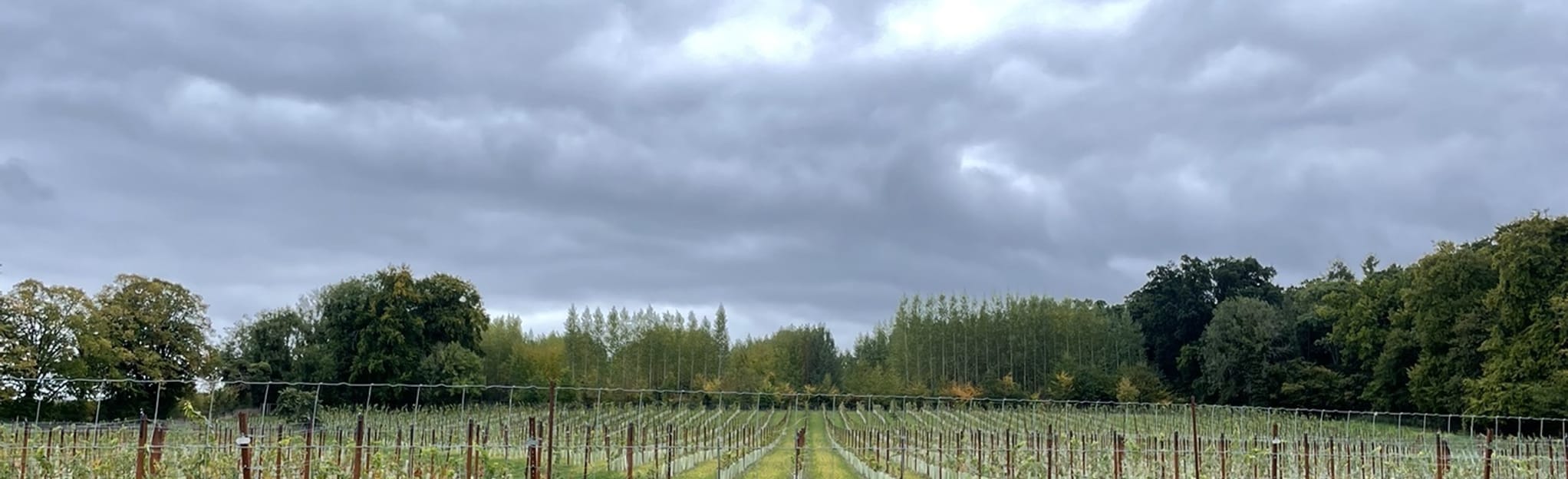 Oakley Park and Wayfarers Walk: 260 foto's - Hampshire, England | AllTrails