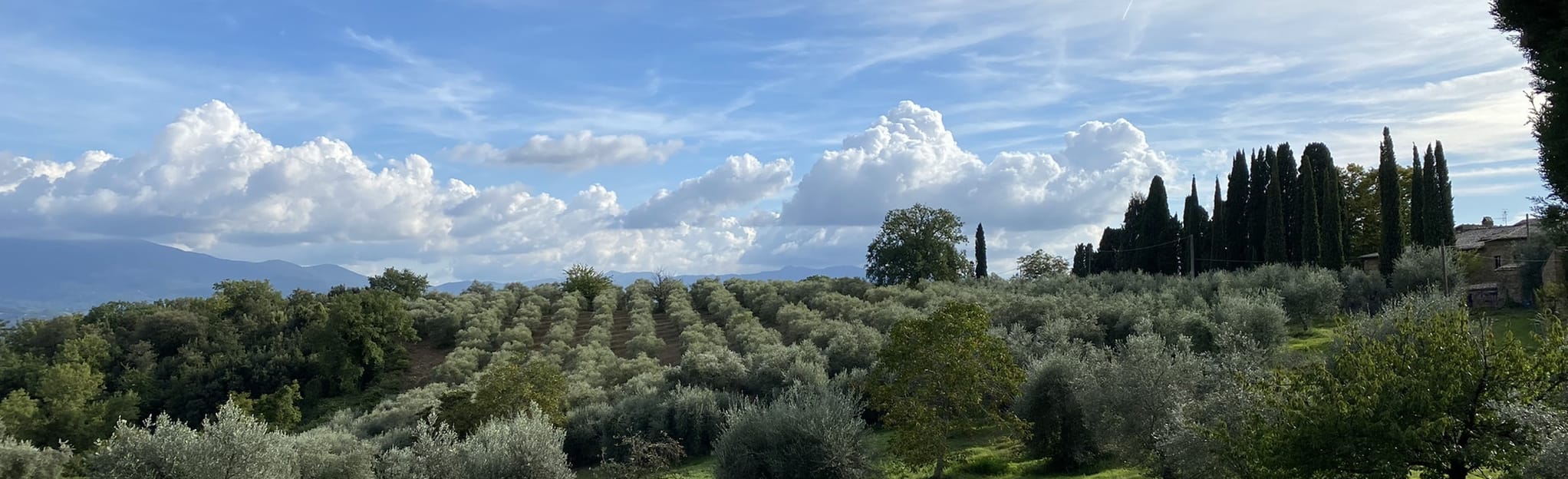 Montalcino - Abbazia di Sant'Antimo: 11 Reviews, Map - Tuscany, Italy ...