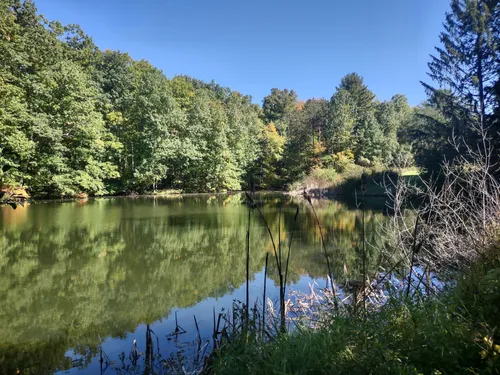 10 Best Trails and Hikes in Chagrin Falls | AllTrails