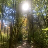 Conroy Pit Loop, Ontario, Canada - 556 Reviews, Map | AllTrails