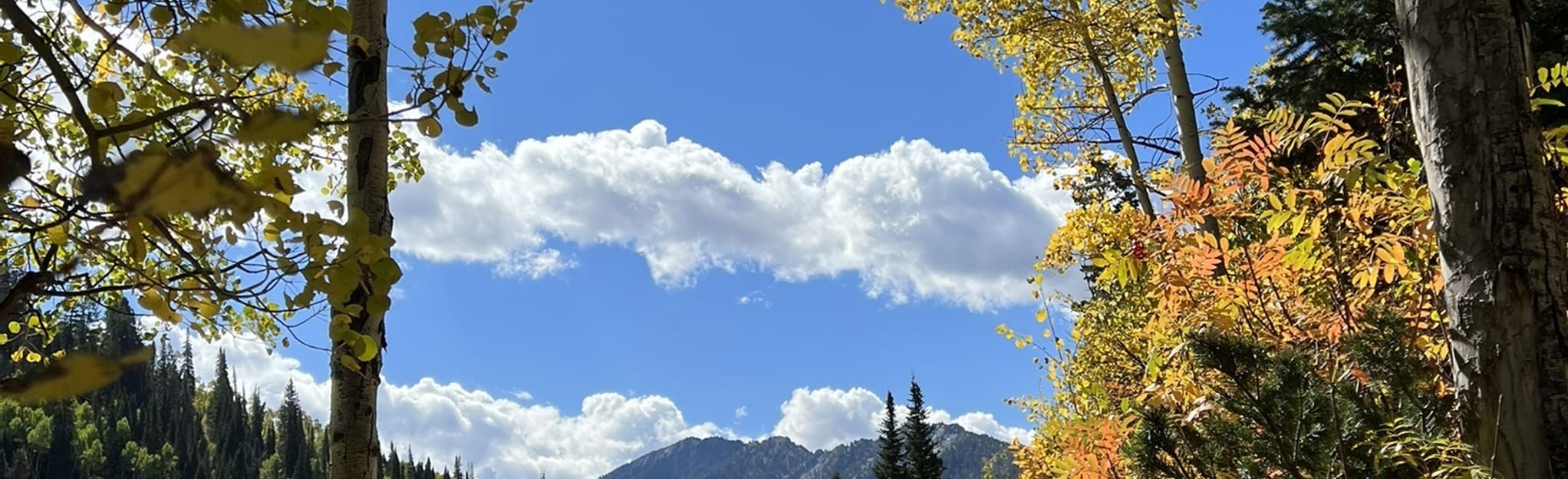 Desolation Ridge, Utah - 40 Reviews, Map | AllTrails