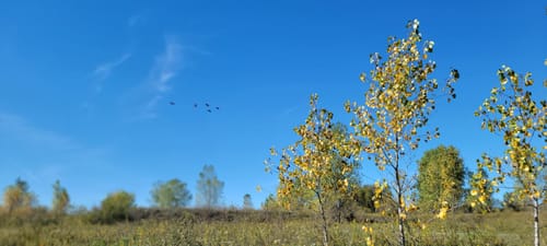 Best Hikes and Trails in Francis Motz County Park | AllTrails