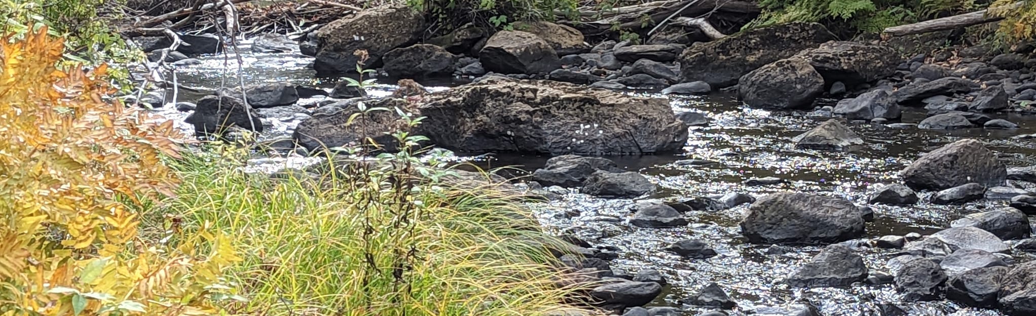 Hopkinton-Everett Reservoir: 53 Reviews, Map - New Hampshire | AllTrails