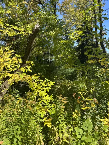 Best Hikes and Trails in Ozaukee County Virmond Park | AllTrails