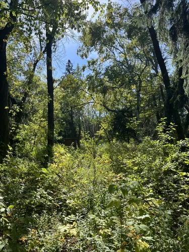 Best Hikes and Trails in Ozaukee County Virmond Park | AllTrails