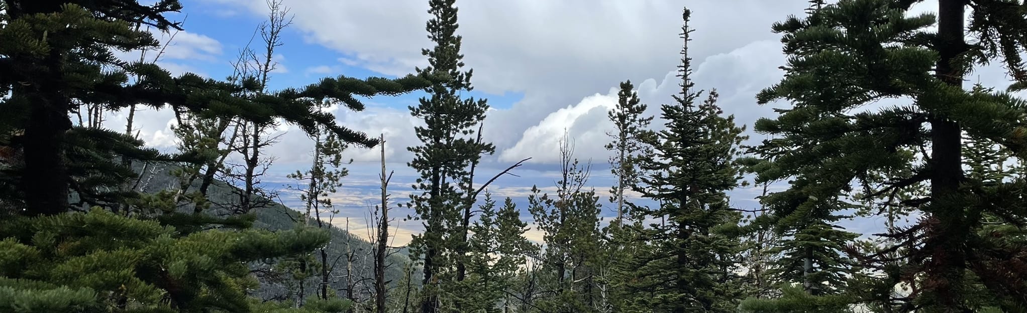 Red Lodge Creek Trail, Montana - 14 Reviews, Map | AllTrails