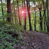 Lumber Ridge Trail, Tennessee - 211 Reviews, Map | AllTrails