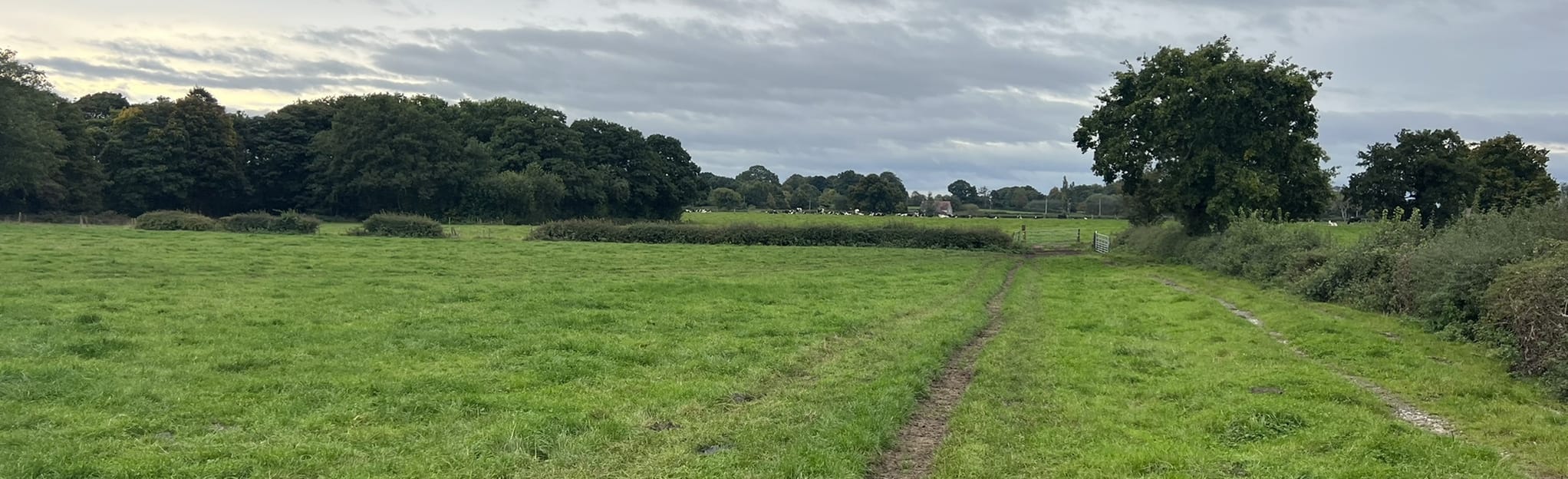 Arley Hall Circular: 124 Reviews, Map - Cheshire, England | AllTrails