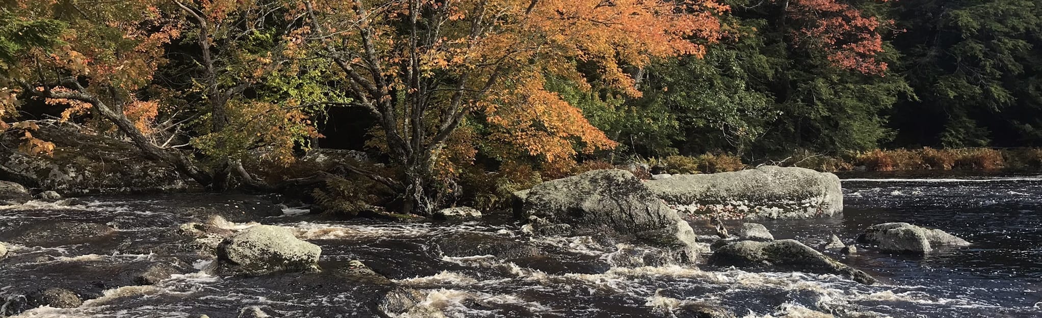 The Four Mile Stillwater Trail: 11 foto - Nuova Scozia, Canada | AllTrails