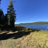 Grebe Lake Trail, Montana - 142 Reviews, Map | AllTrails