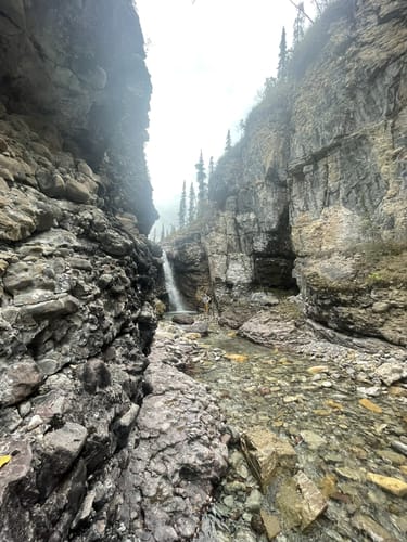 Best Hikes and Trails in Muncho Lake Provincial Park | AllTrails