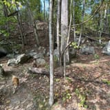 Trail of the Muscogee, Georgia - 493 Reviews, Map | AllTrails