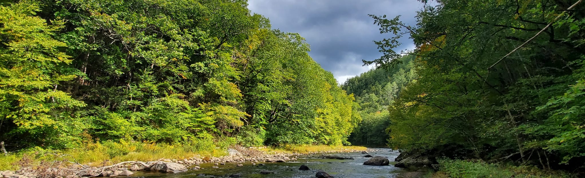 Hamilton Falls Trail, Vermont - 649 Reviews, Map | AllTrails
