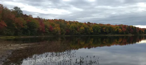 10 Best Trails and Hikes in Old Forge | AllTrails
