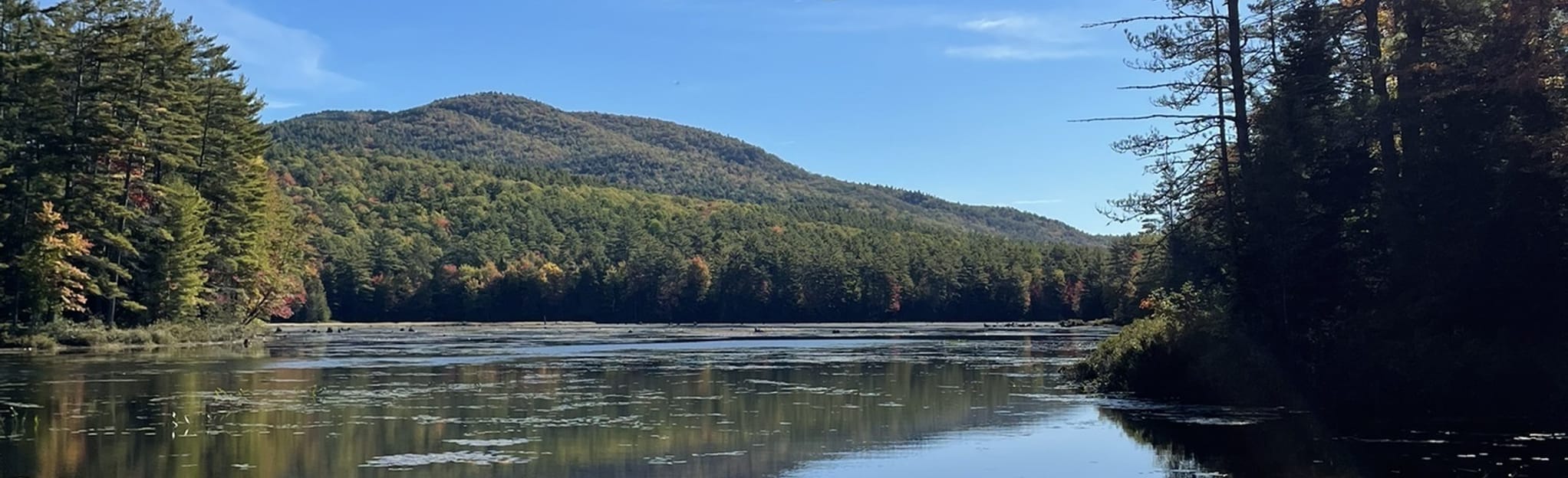 Hammond Pond Trail, New York - 78 Reviews, Map | AllTrails