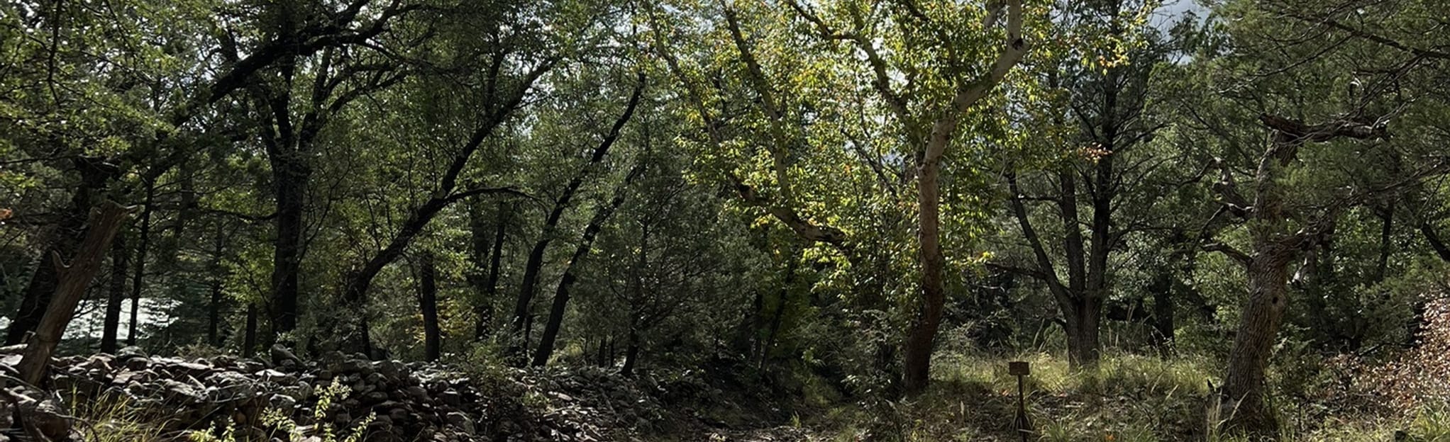 Crystal Cave Trail, Arizona - 17 Reviews, Map | AllTrails