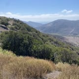 Aliso Summit Trail, California - 319 Reviews, Map | AllTrails