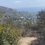Aliso Summit Trail, California - 319 Reviews, Map | AllTrails