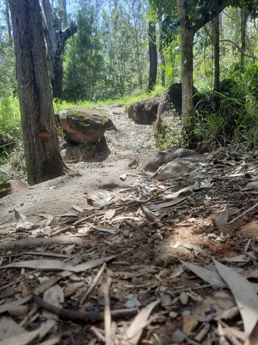 Best Hikes and Trails in Kholo Road Park | AllTrails
