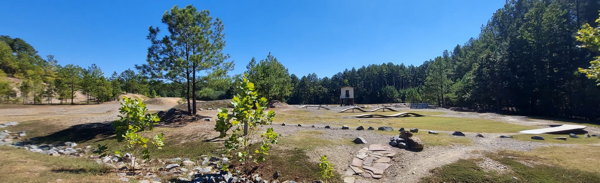 Cedar Glades Black Trail Loop, Arkansas - 106 Reviews, Map | AllTrails