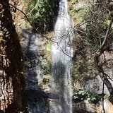 Potem Falls Trail, California - 301 Reviews, Map | AllTrails
