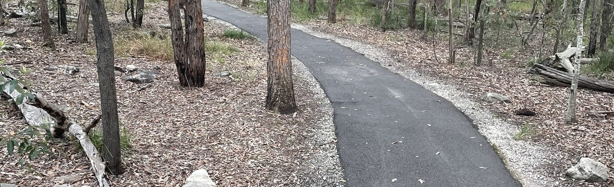 Toohey Ridge Track via Western Outlook Loop: 82 Reviews, Map ...