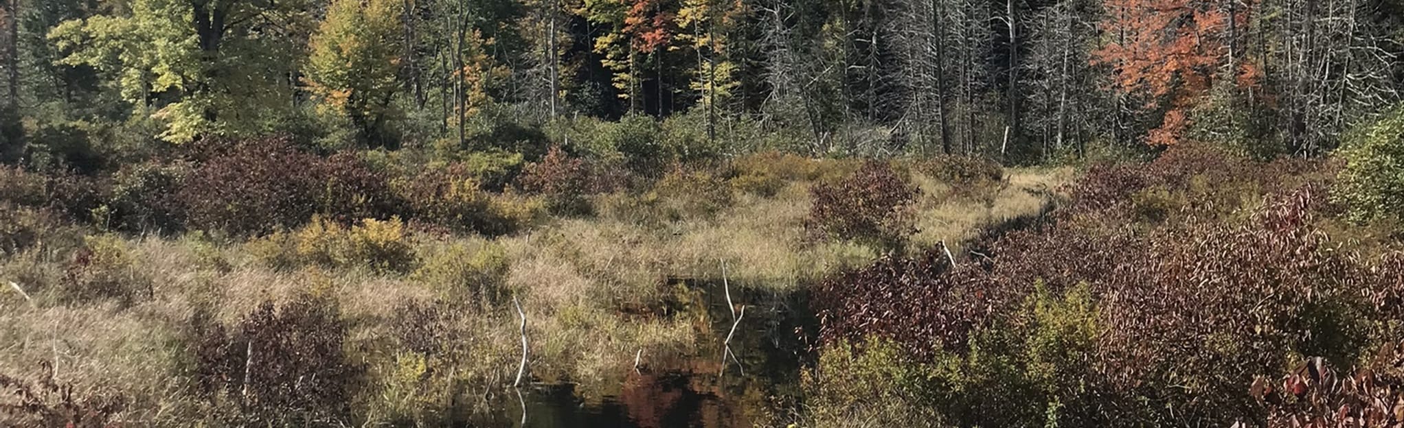 Snow Mountain via Rooster Comb Trail | Map, Guide - New York | AllTrails