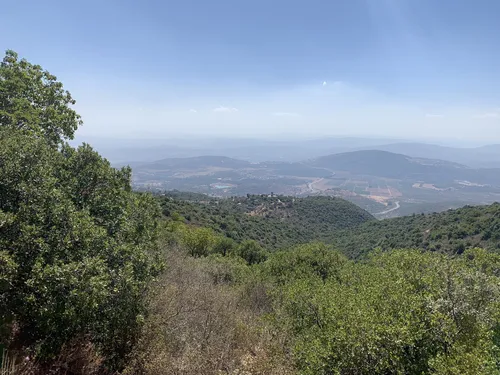 2023 Best 10 Long Trails in Har Meron Nature Reserve | AllTrails