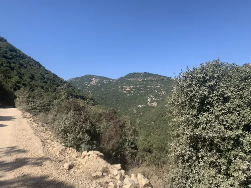 10 Best Easy Trails in Har Meron Nature Reserve | AllTrails