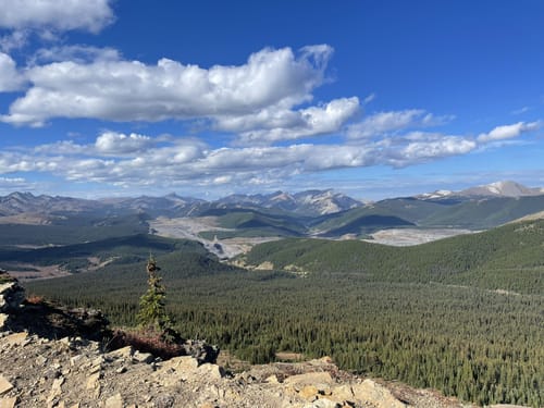 Best Hikes and Trails in Cardinal Divide Natural Area | AllTrails