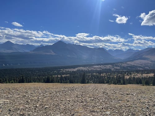 Best Hikes and Trails in Cardinal Divide Natural Area | AllTrails